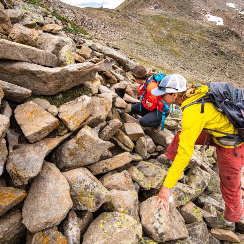 Front Page | Colorado Pika Project